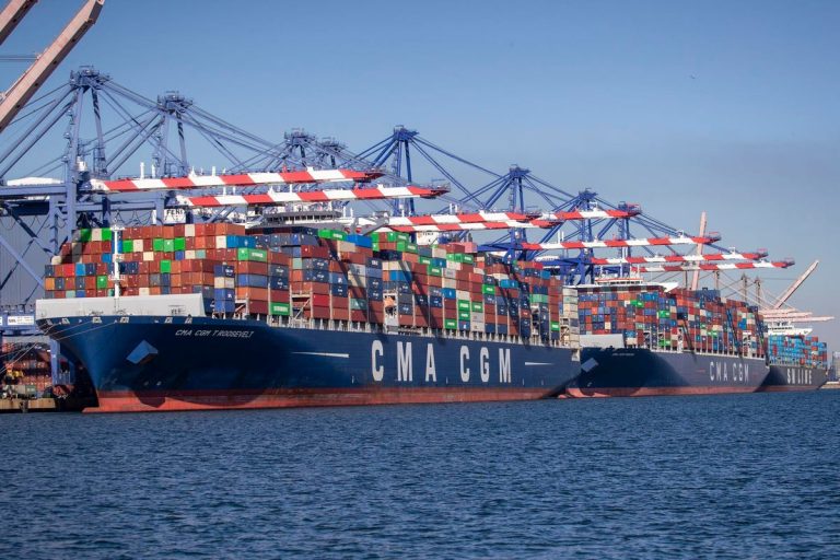 EDPMS & IDPMS for Export / Import - Issues & Guidelines - Princeton Academy