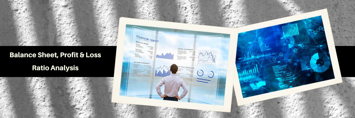 Balance Sheet, P&L & Ratio Analysis - Princeton Academy