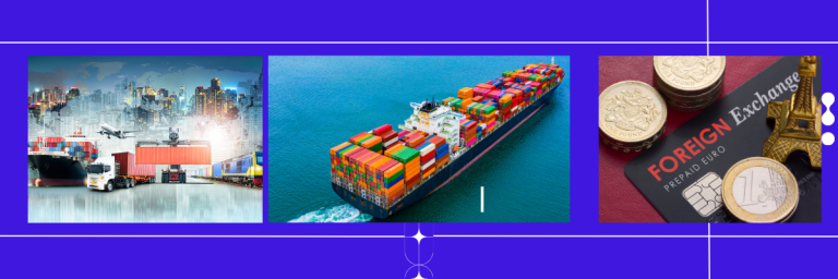 EDPMS & IDPMS for Export / Import - Issues & Guidelines - Princeton Academy